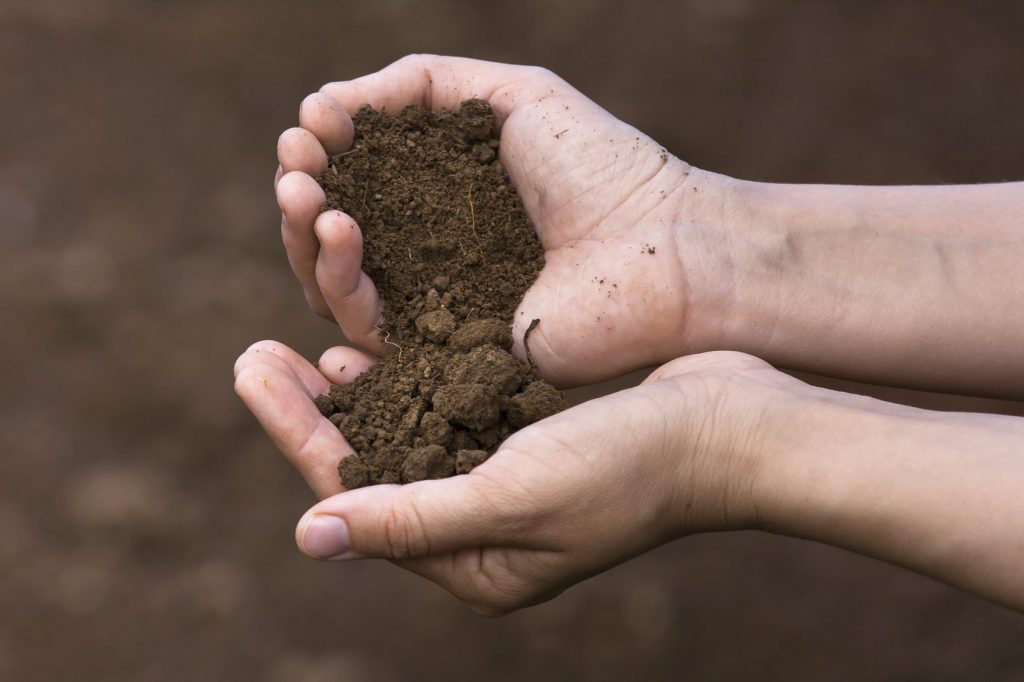 How to Fertilize The Soil at Home - TheGardenGranny