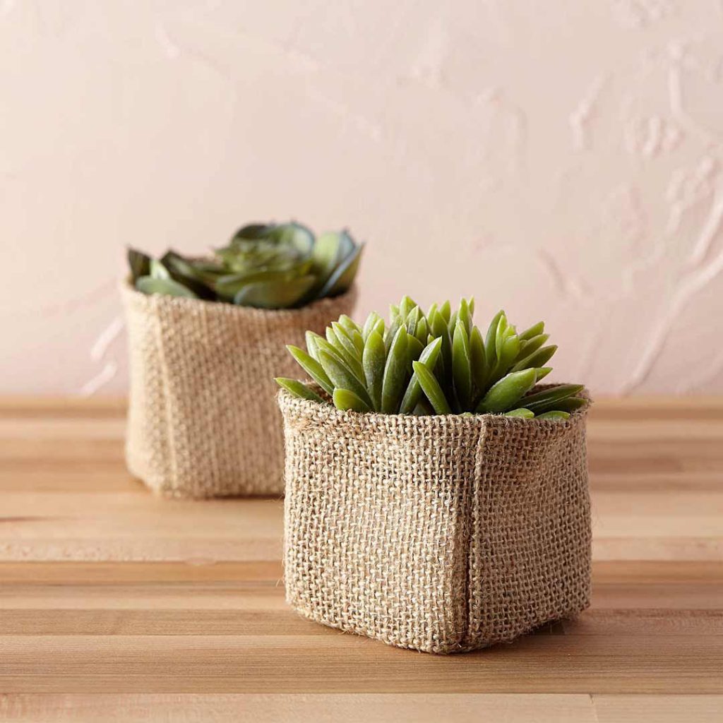 Simple Ornamental Plant Sack Ideas for Your Home Interior