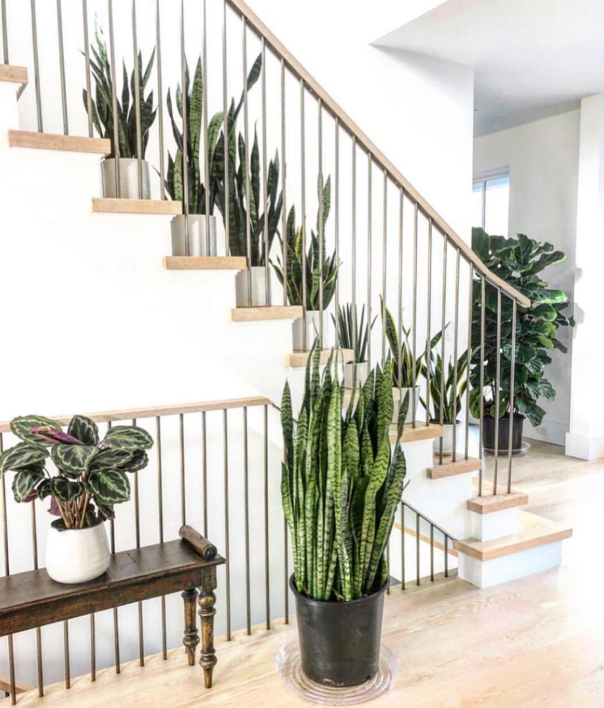 17 Ways to Make Your Staircase Beautiful with Plants - TheGardenGranny