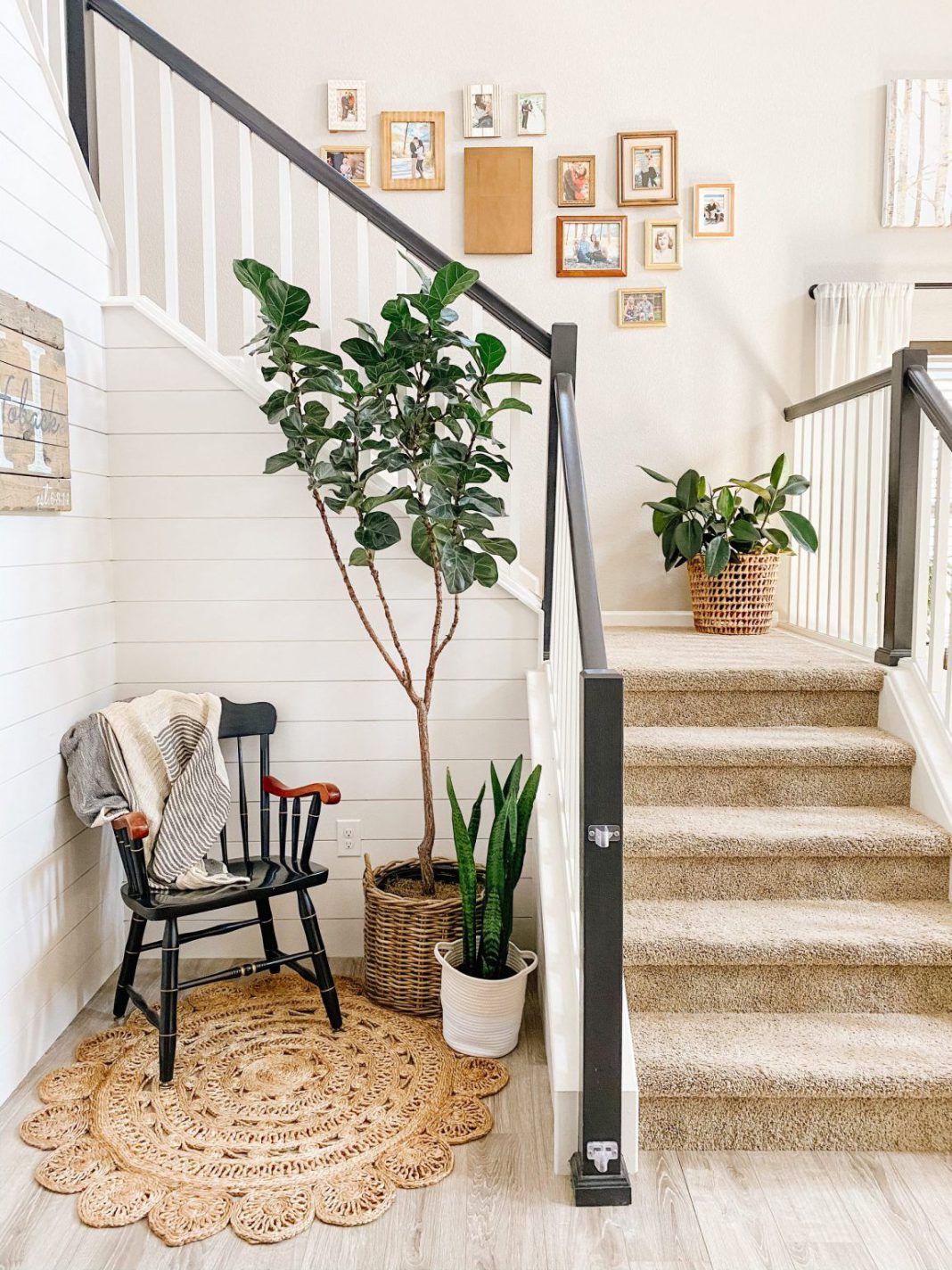 17 Ways to Make Your Staircase Beautiful with Plants - TheGardenGranny