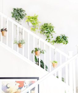 17 Ways to Make Your Staircase Beautiful with Plants - TheGardenGranny