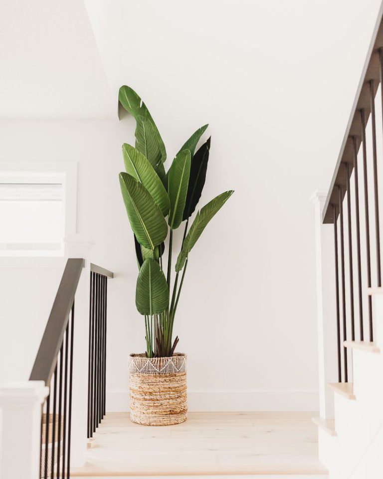 17 Ways to Make Your Staircase Beautiful with Plants - TheGardenGranny