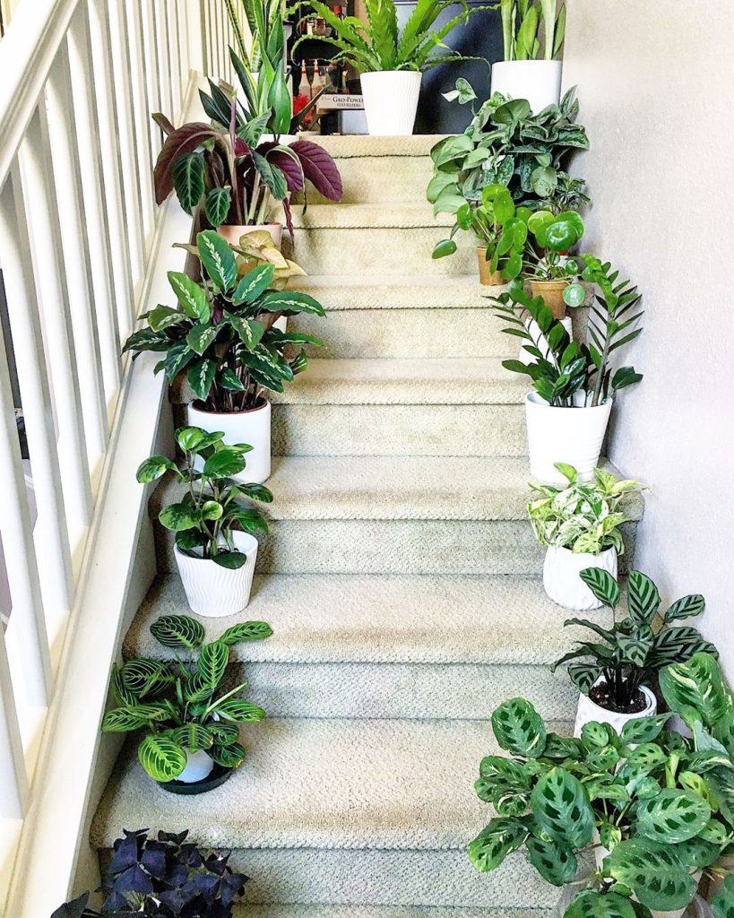 17 Ways to Make Your Staircase Beautiful with Plants - TheGardenGranny