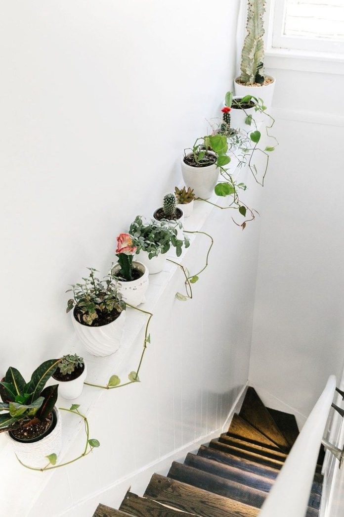 17 Ways to Make Your Staircase Beautiful with Plants - TheGardenGranny