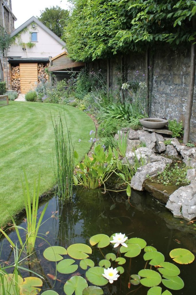 16 Tips to Make A Garden Pond: Start from the Materials